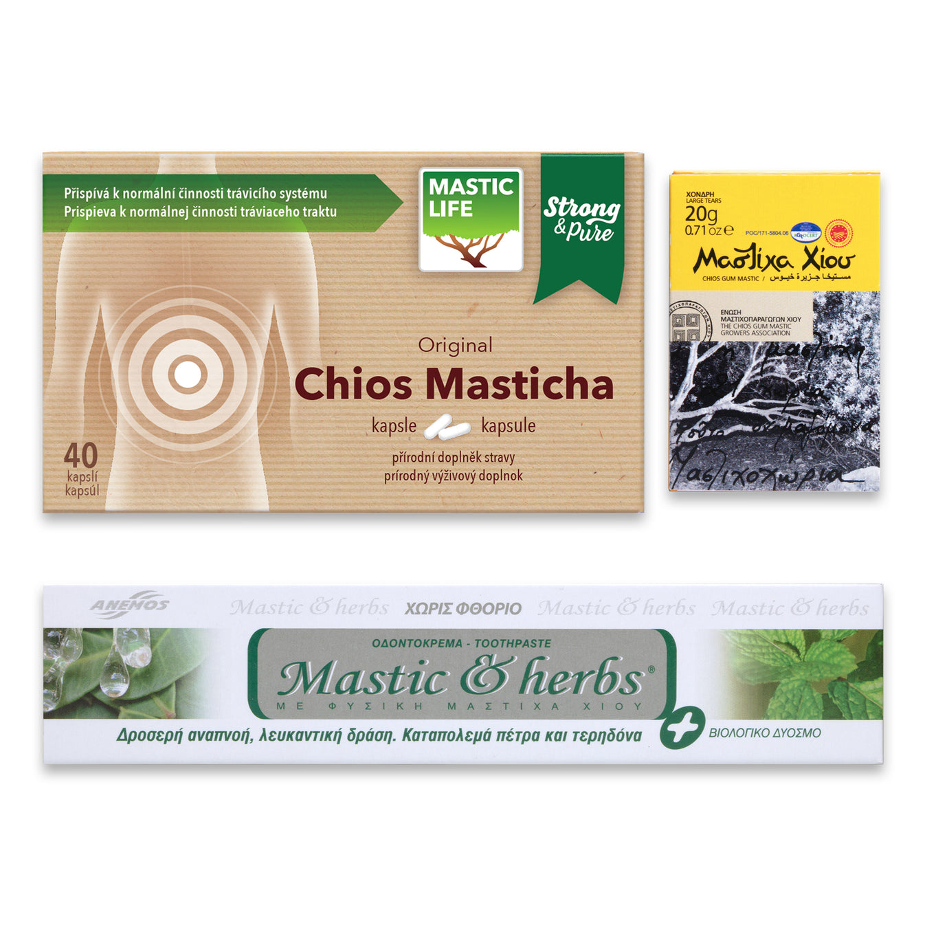 Mastic " Pure Mastic" Box Masticlife – Mastic Masticlife